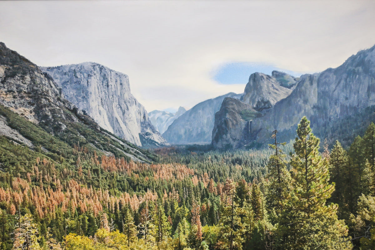 Originals – Archie Jackson Studios